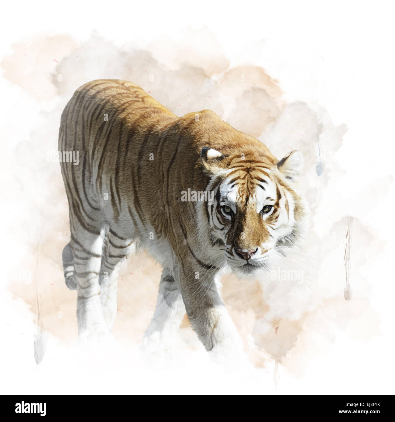 Digital tiger hi-res stock photography and images - Alamy