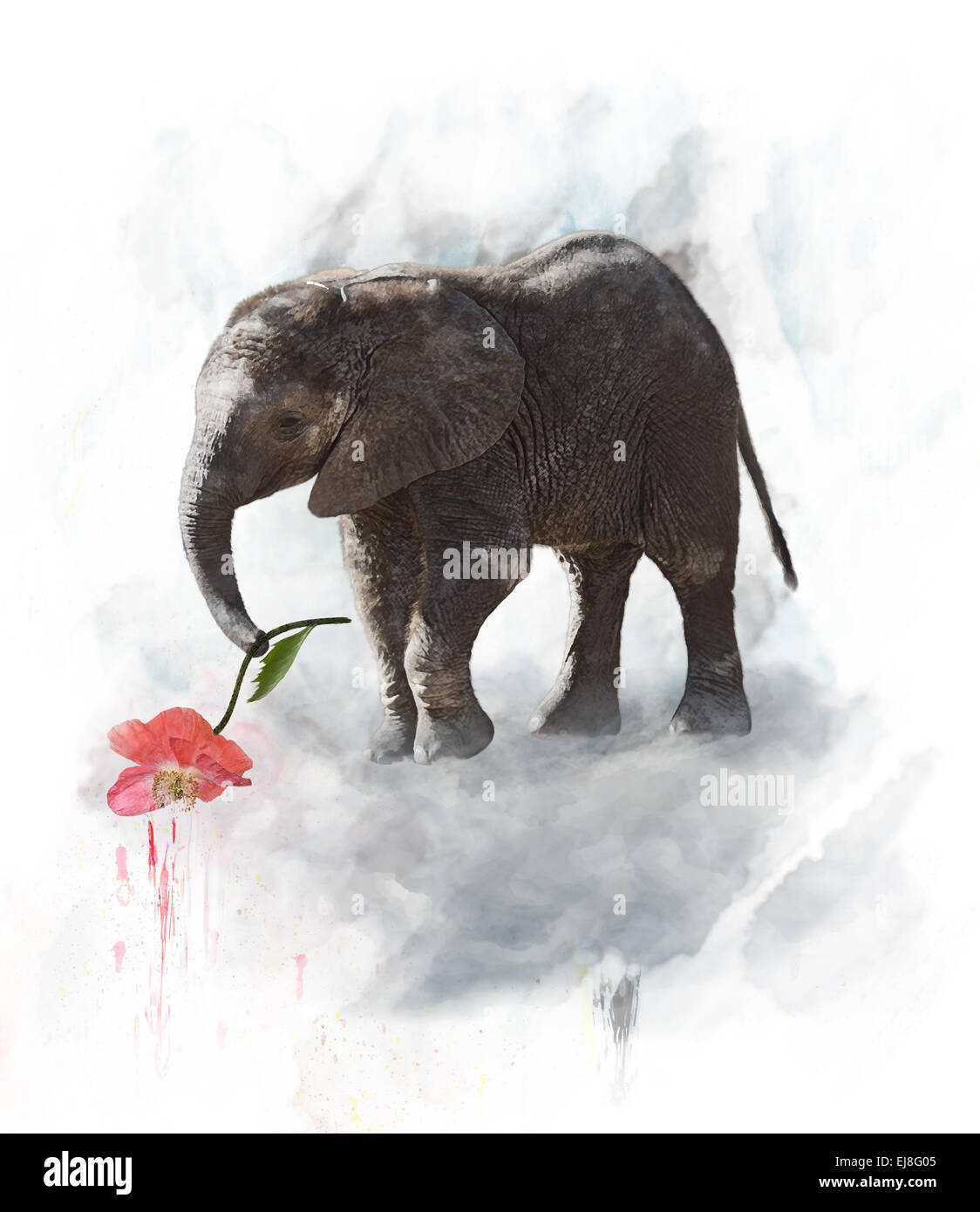 Baby elephant flower hi-res stock photography and images - Alamy