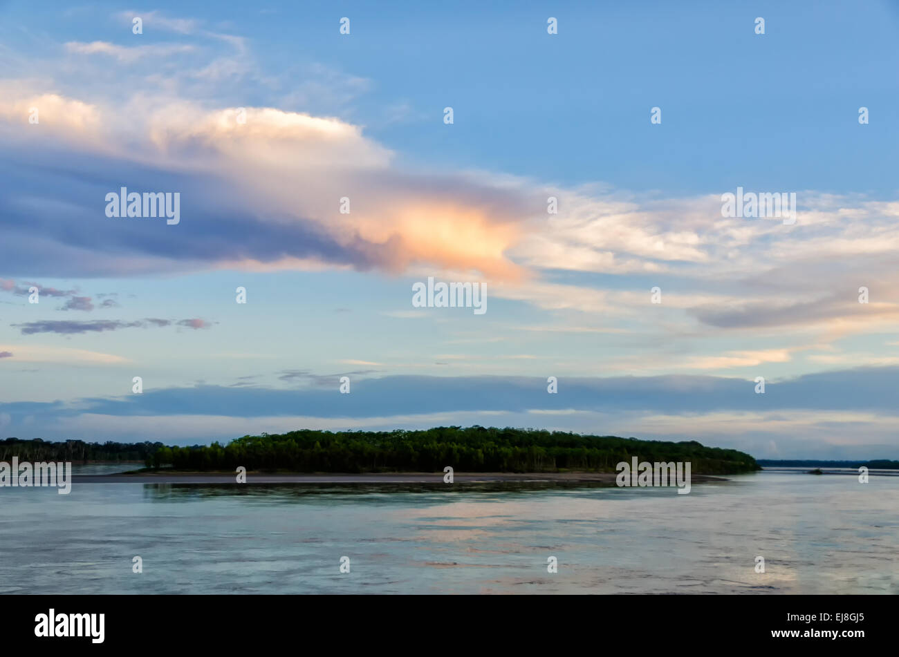 Amazonas baum wald hi-res stock photography and images - Alamy