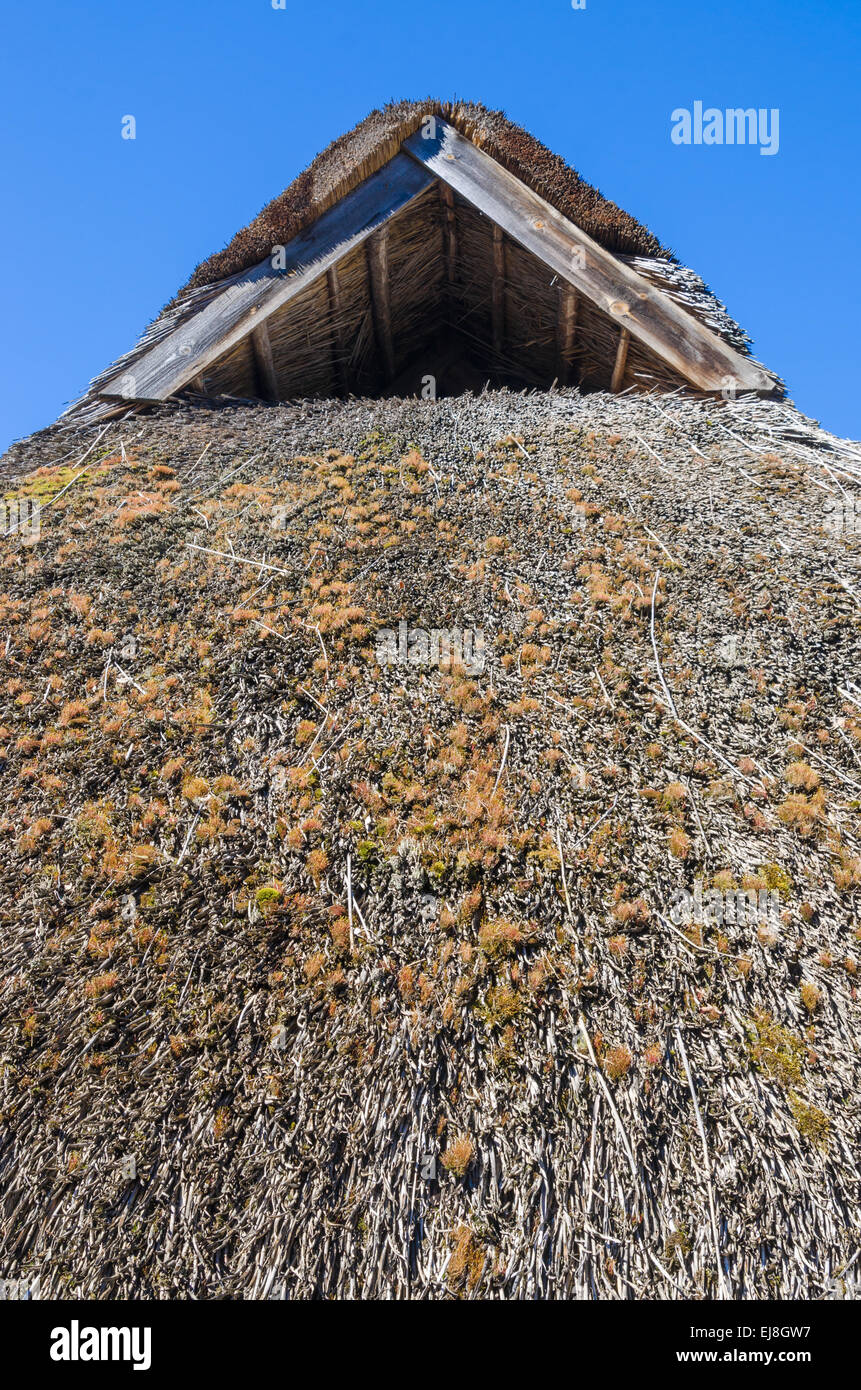 The roof covered with straw, close-up Stock Photo - Alamy
