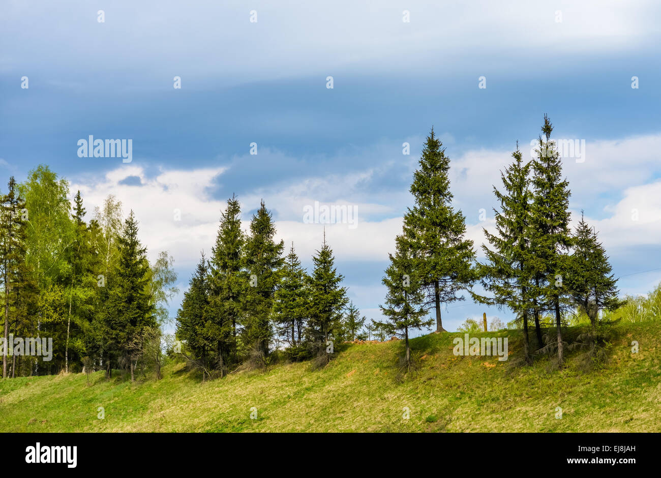 prairie landscape and sky Stock Photo - Alamy