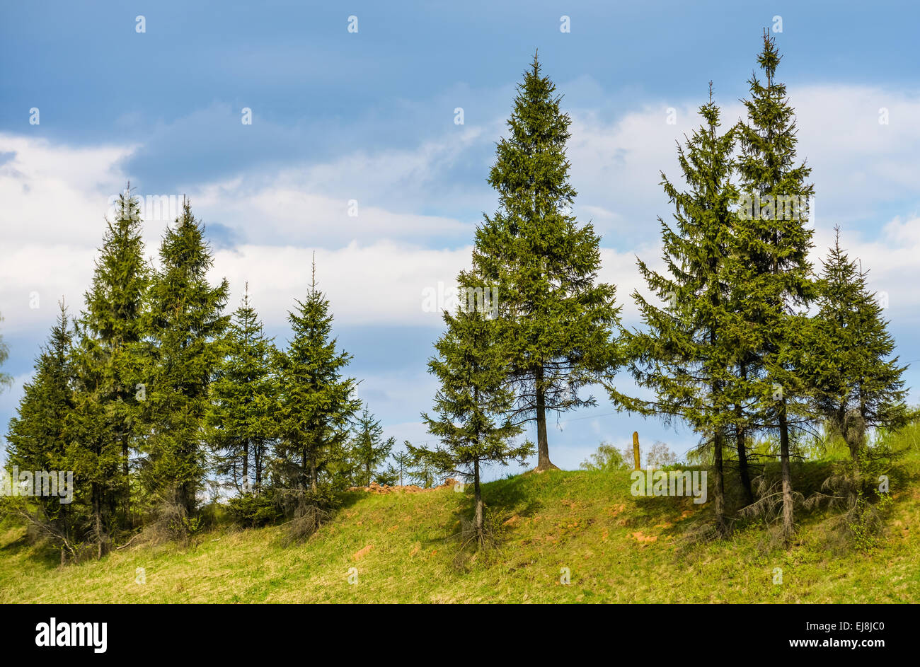 prairie landscape and sky Stock Photo - Alamy