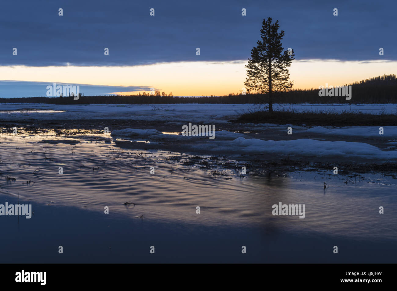 swamp landscape by night, Lapland, Sweden Stock Photo - Alamy