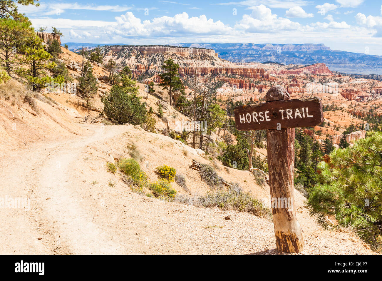 Equestrian trail ride hi-res stock photography and images - Alamy