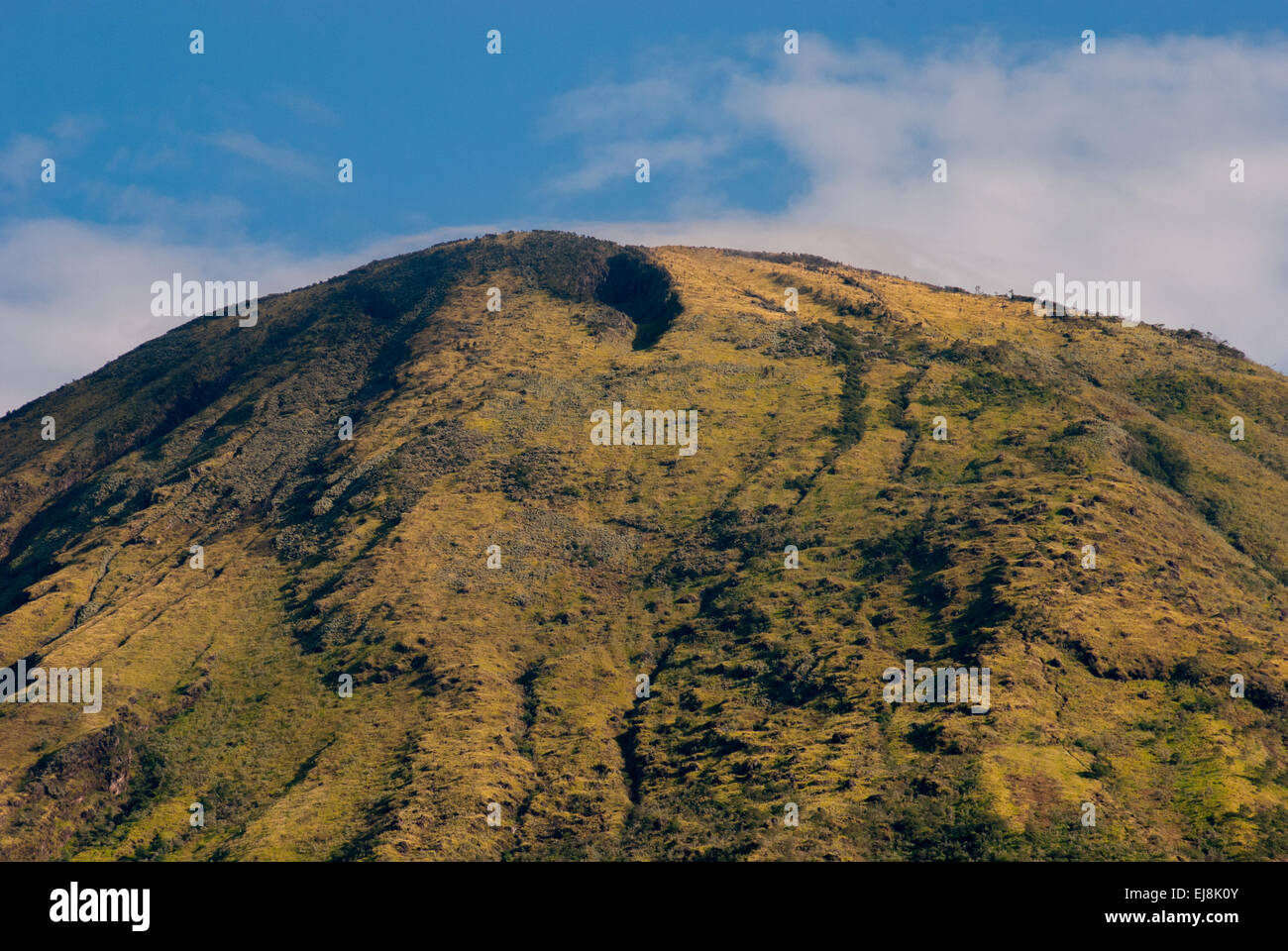 Mount Sundoro in Central Java province, Indonesia Stock Photo - Alamy