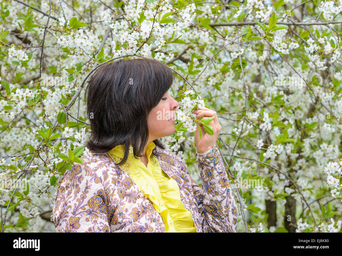 portrait of brunette cherry orchard Stock Photo - Alamy
