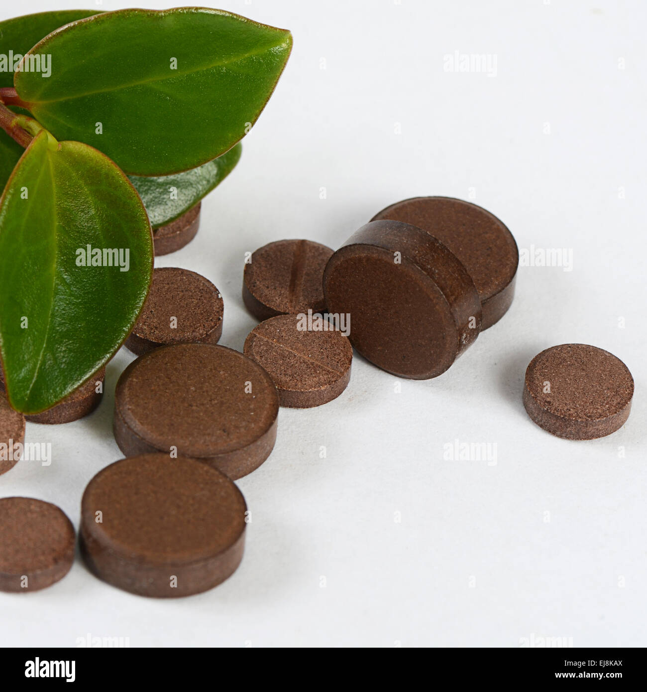 Tablets with a plant close up Stock Photo - Alamy