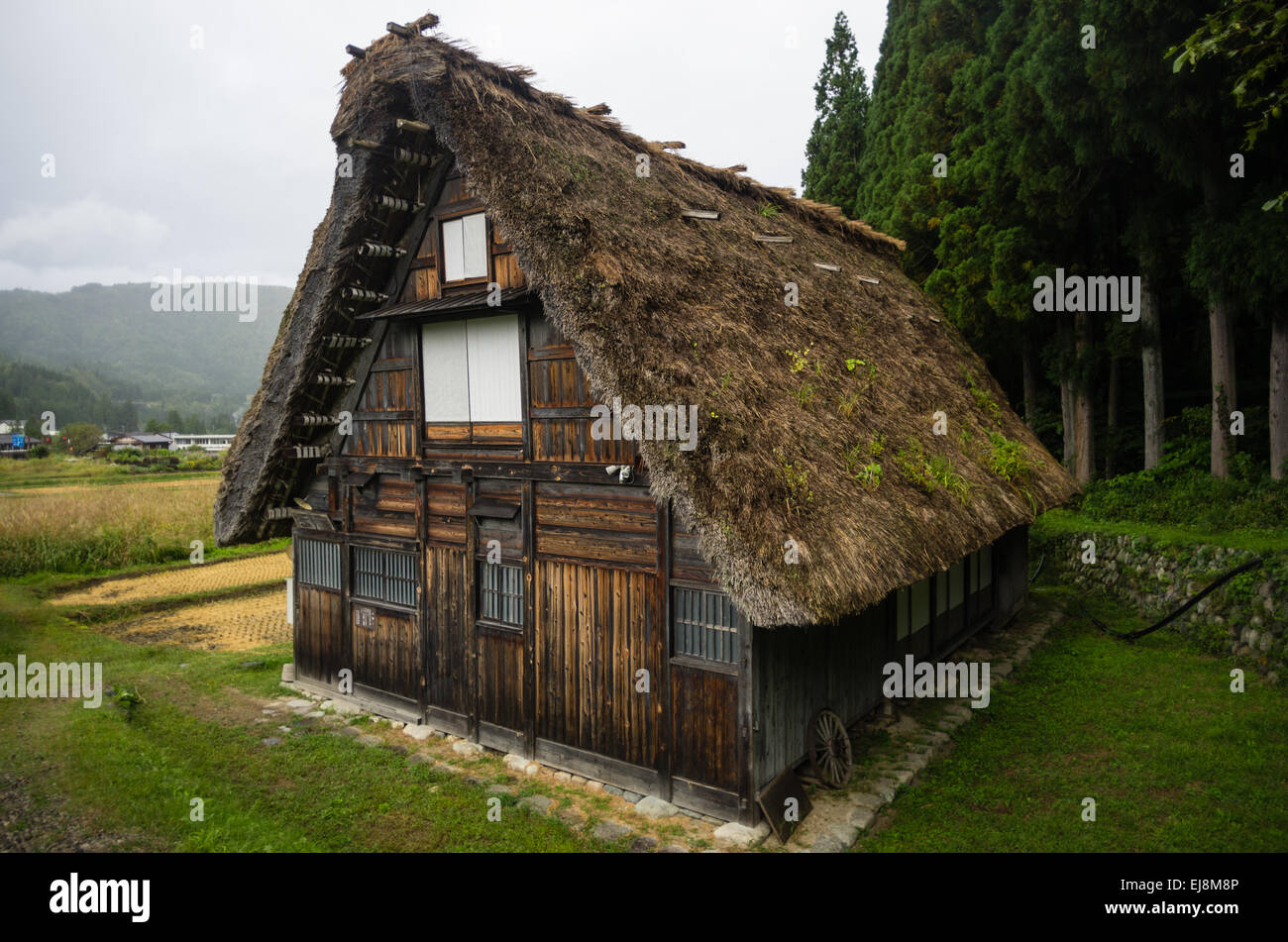 Ej8m8p hi-res stock photography and images - Alamy