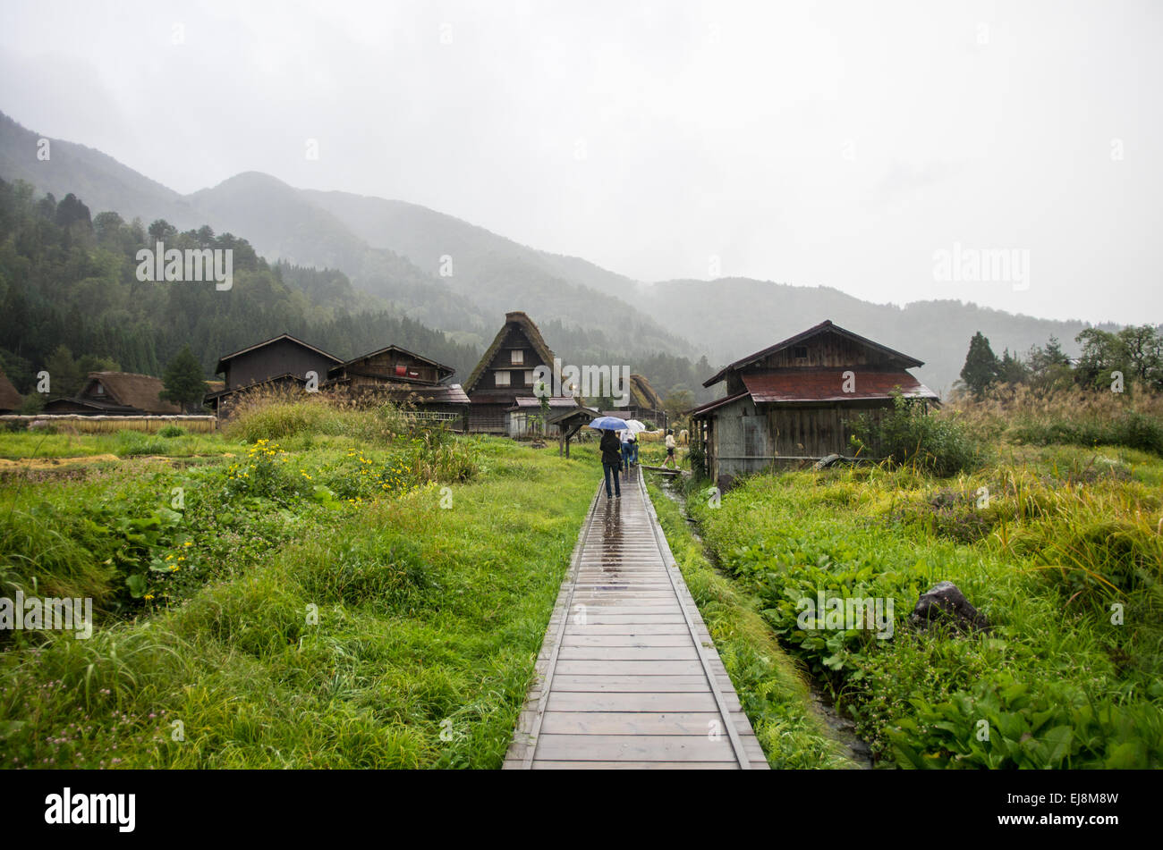 Gasshō-zukuri houses in the UNESCO World Heritage village of Shirakawa ...