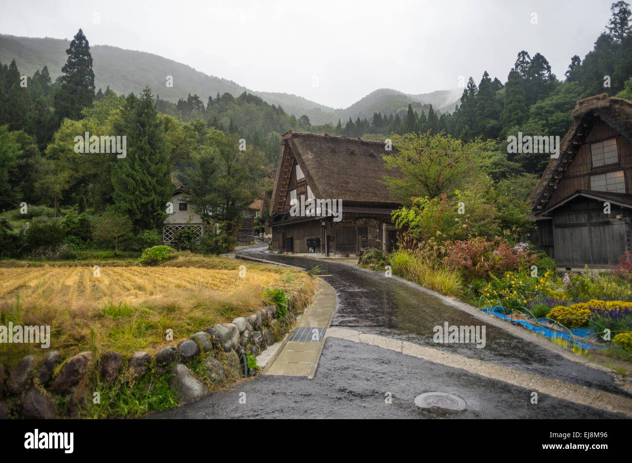 Gasshō-zukuri houses in the UNESCO World Heritage village of Shirakawa ...