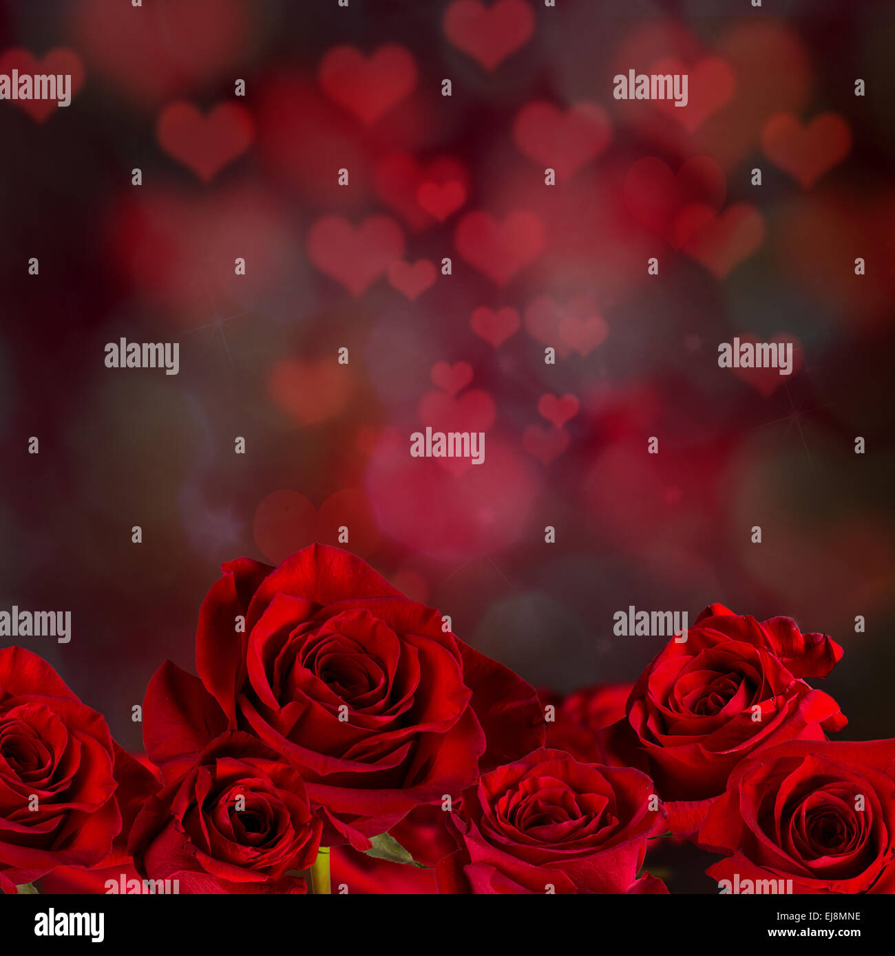 Natural red roses background, close-up Stock Photo - Alamy