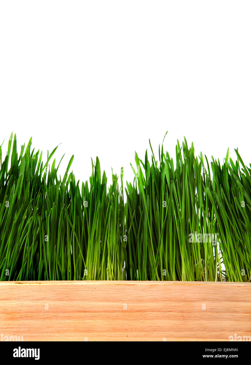 Grass and Wooden Board Stock Photo - Alamy