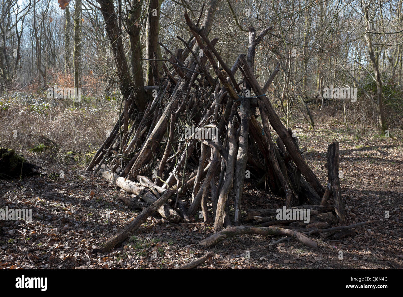 Makeshift Shelter in Savernake Forest Wiltshire Stock Photo - Alamy