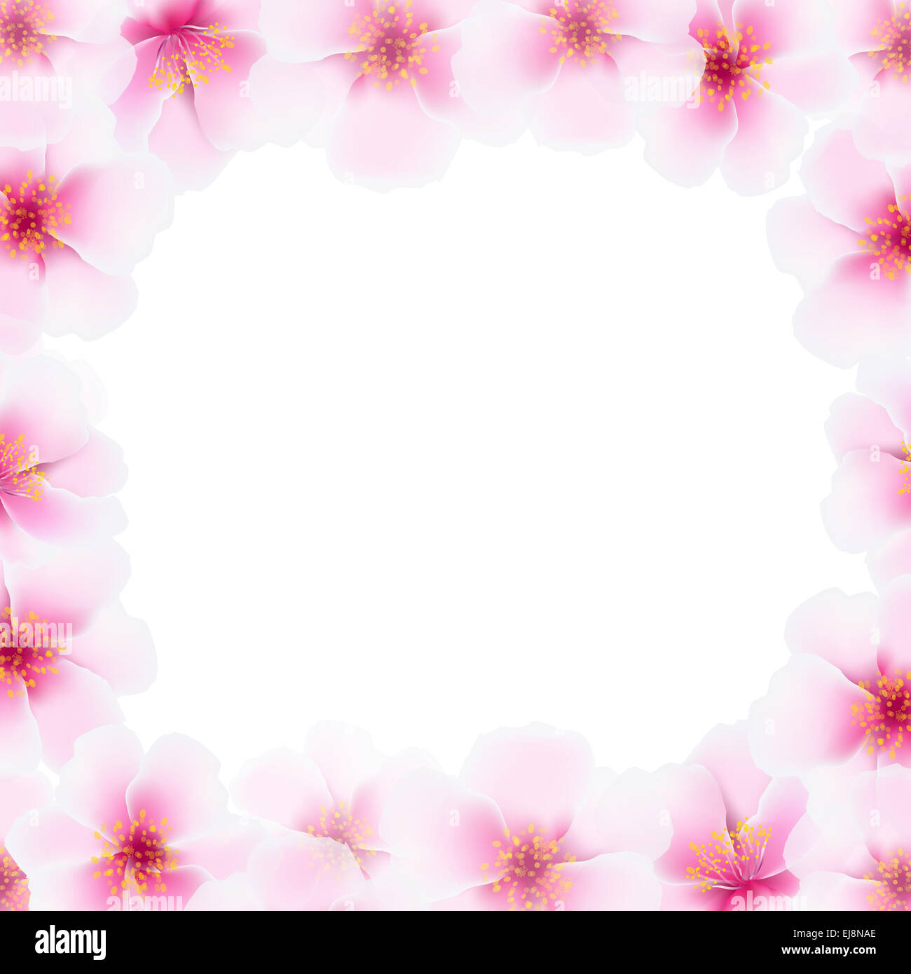 Cherry frame hi-res stock photography and images - Alamy