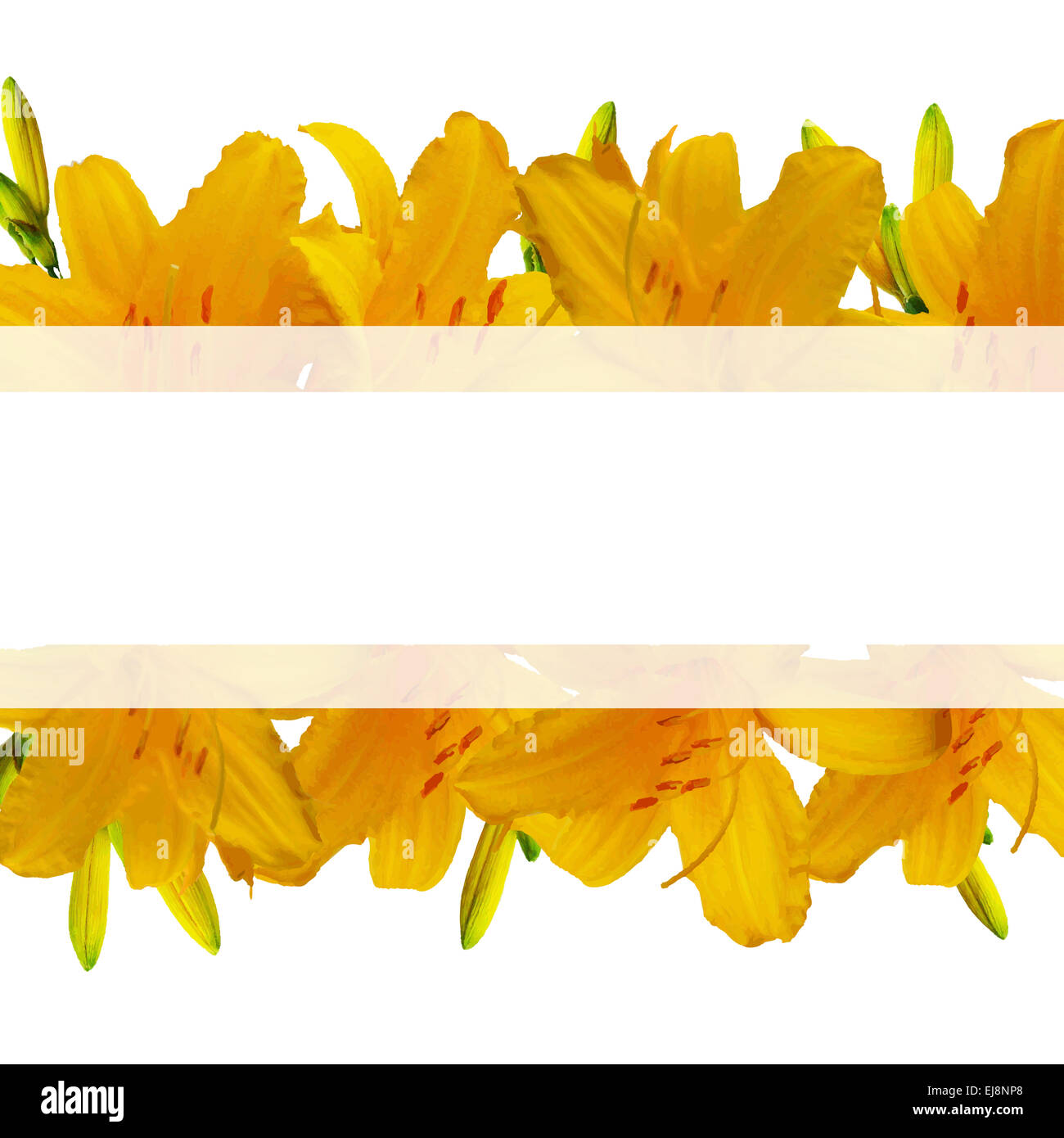 Yellow lilly Cut Out Stock Images & Pictures - Alamy