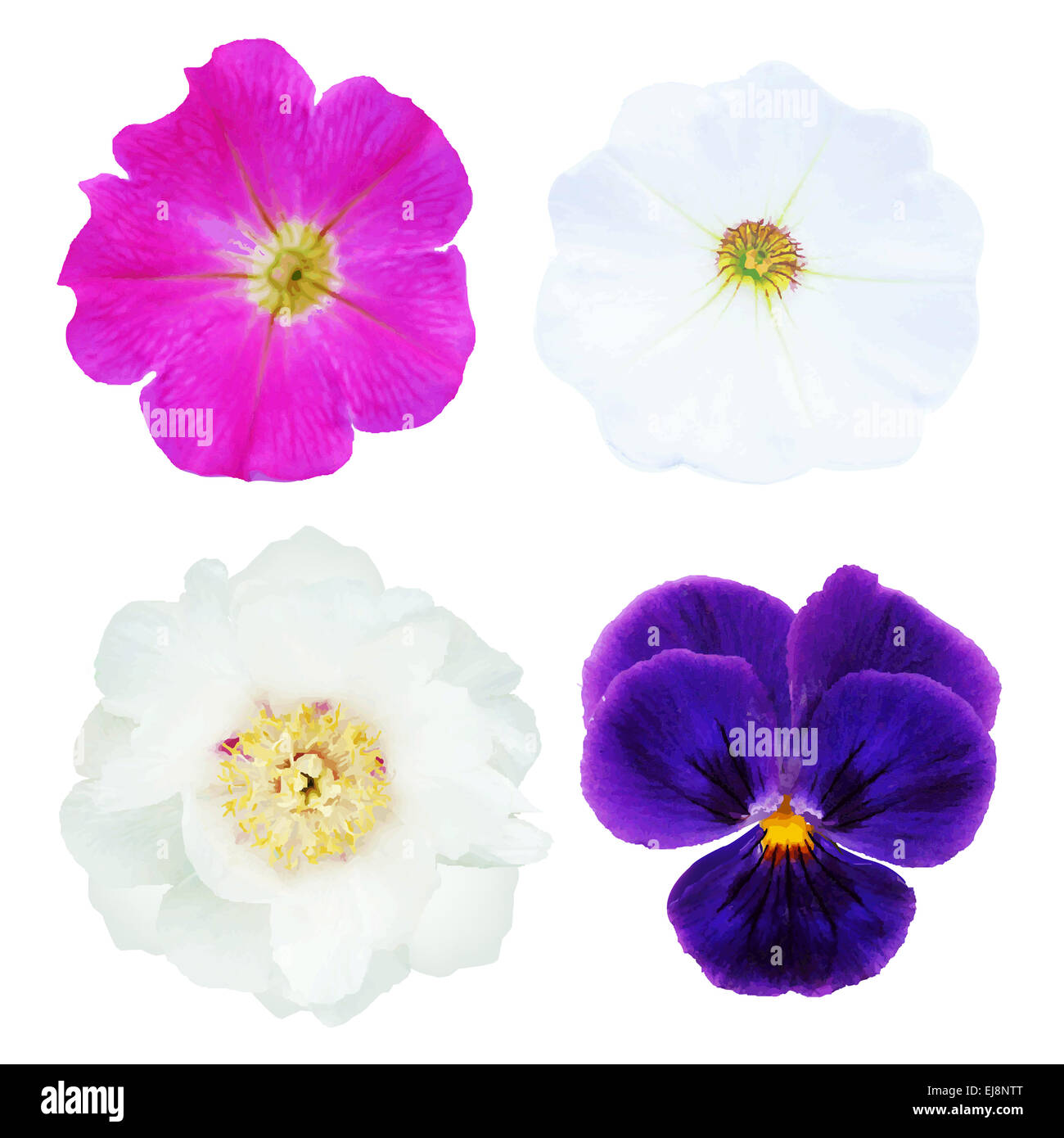 Set spring blue violet Cut Out Stock Images & Pictures - Alamy