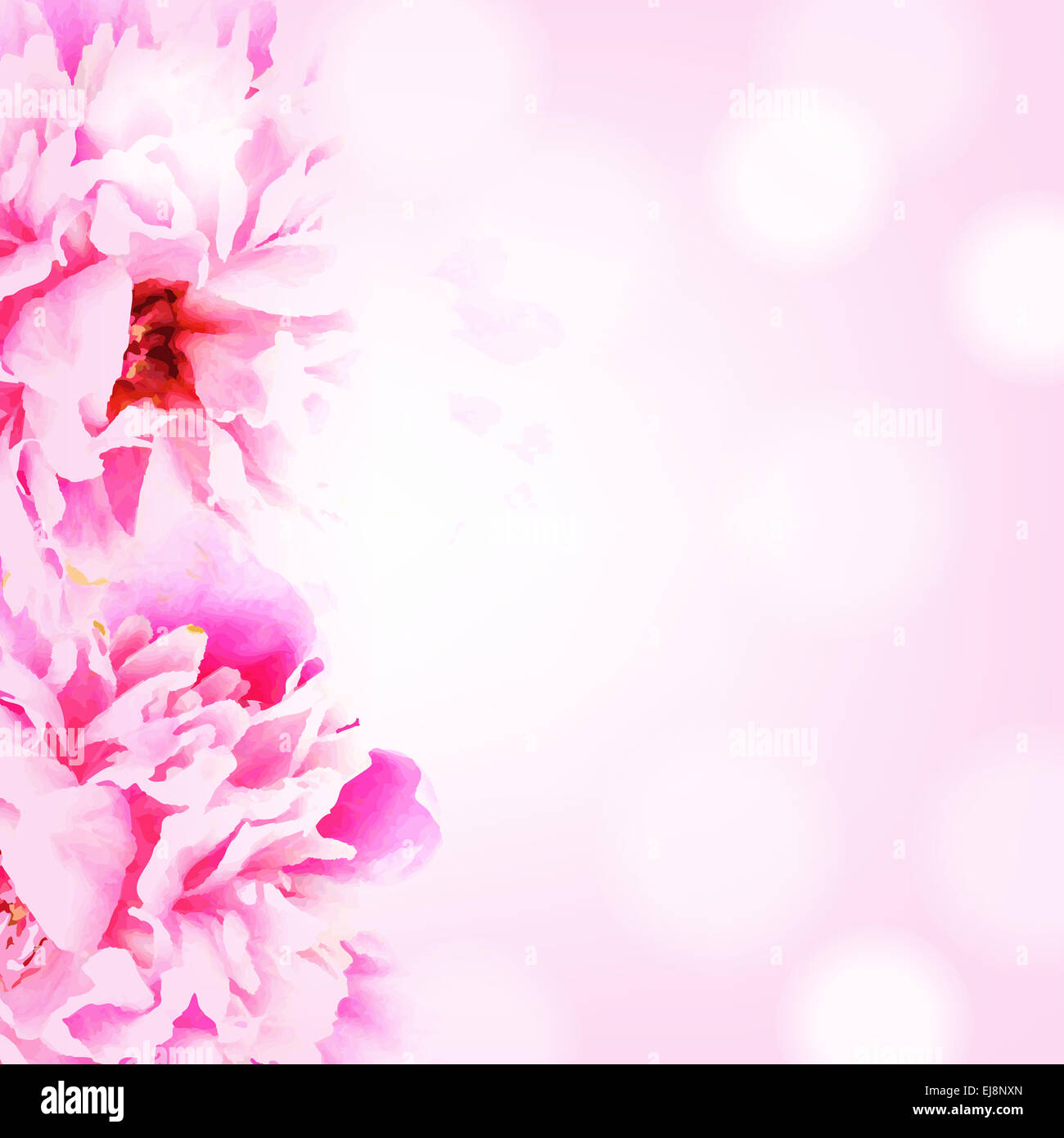 Peony border spring hi-res stock photography and images - Alamy