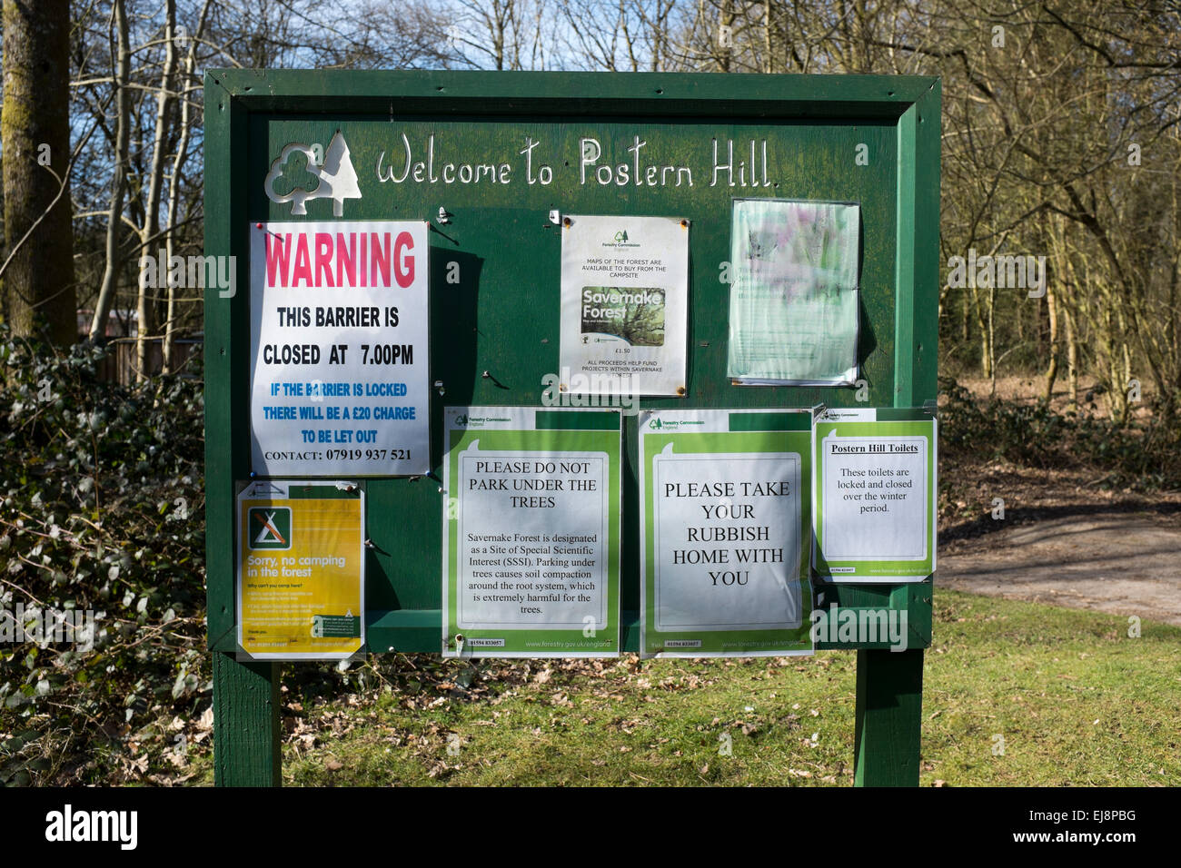 Savernake forest hill hi-res stock photography and images - Alamy