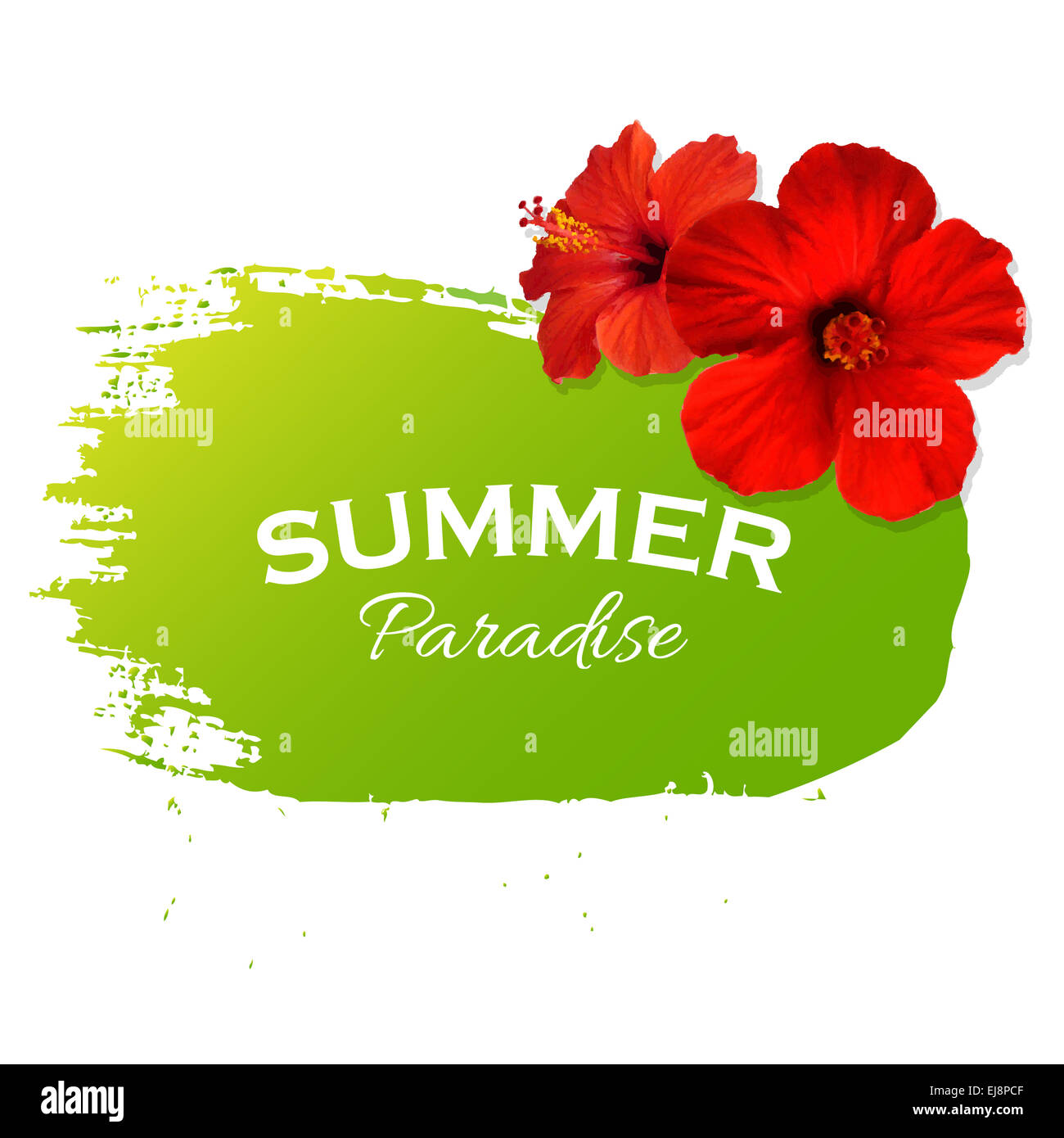 Summer Flowers Poster Stock Photo - Alamy