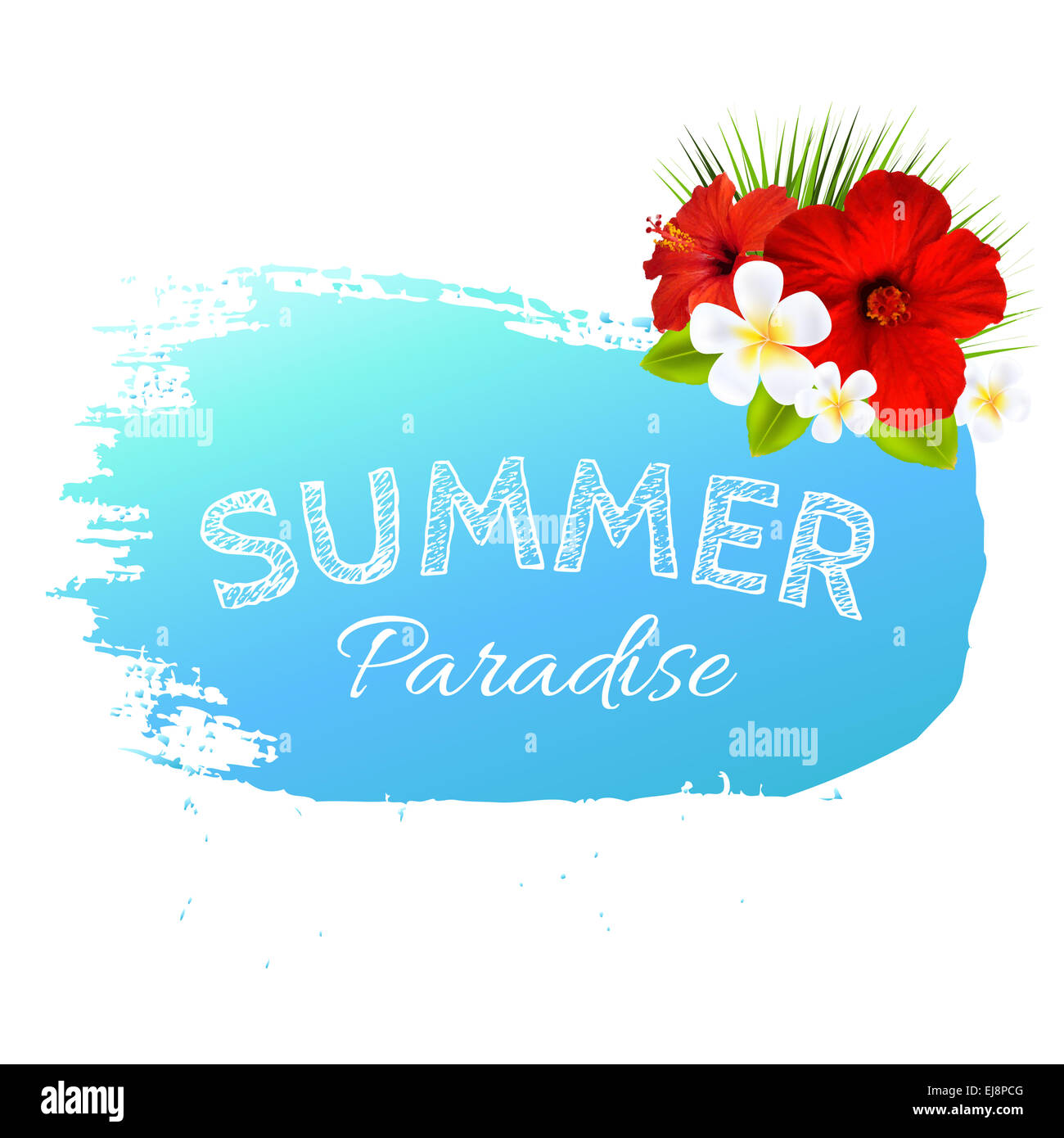 Summer banner blot design Cut Out Stock Images & Pictures - Alamy