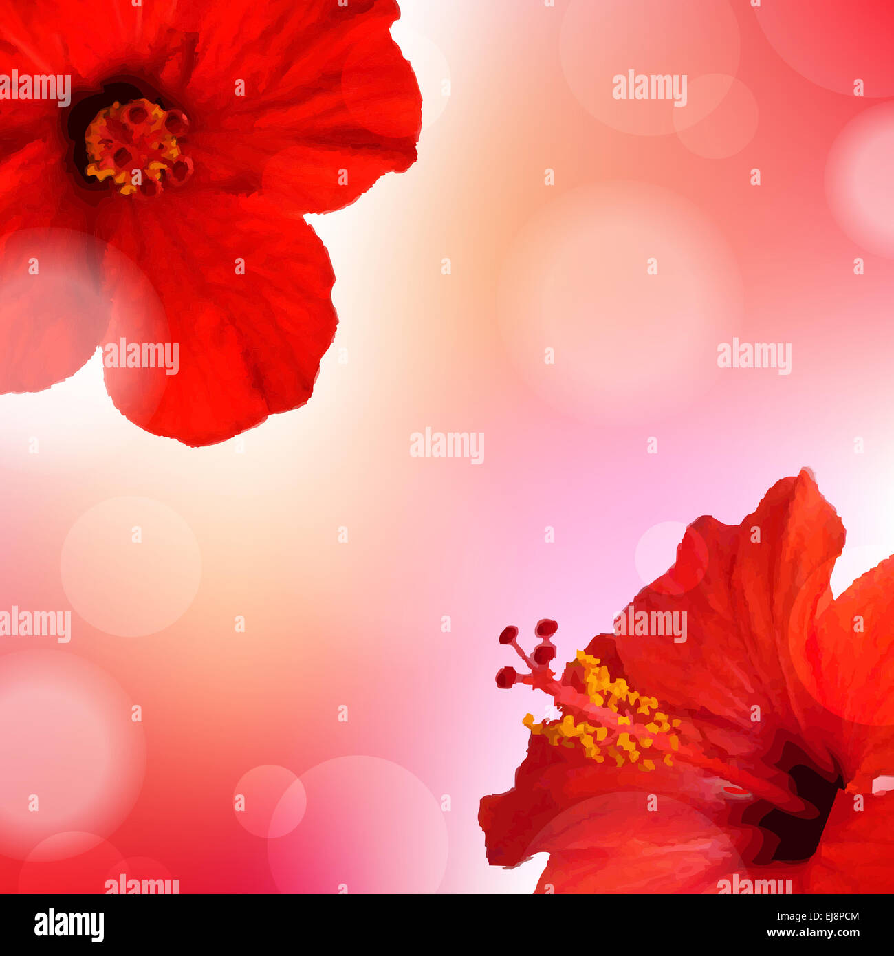 Summer Flowers Poster Stock Photo - Alamy
