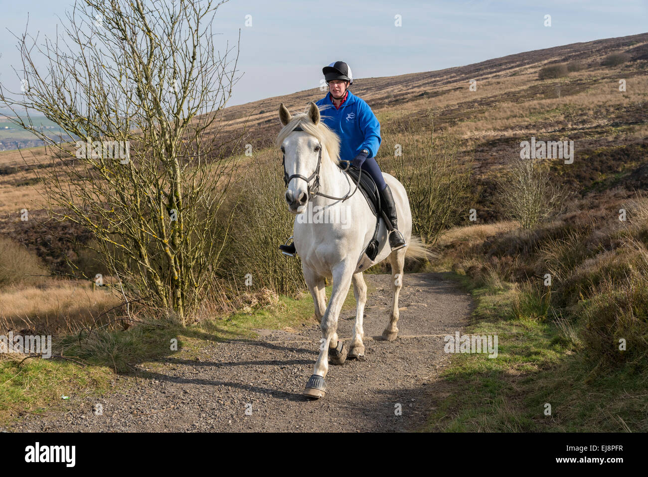 Horse on moors hi-res stock photography and images - Alamy