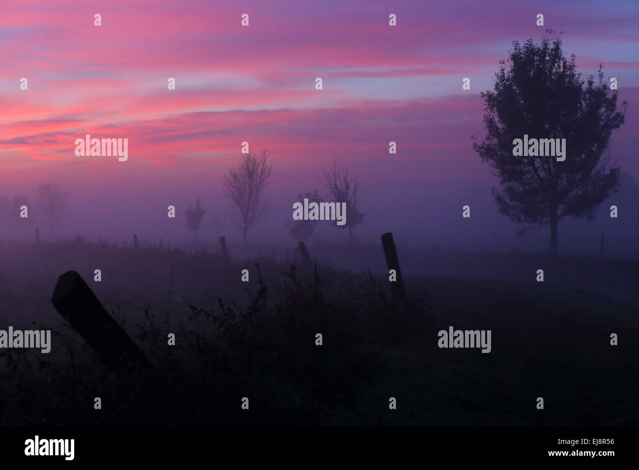 August in germany hi-res stock photography and images - Alamy