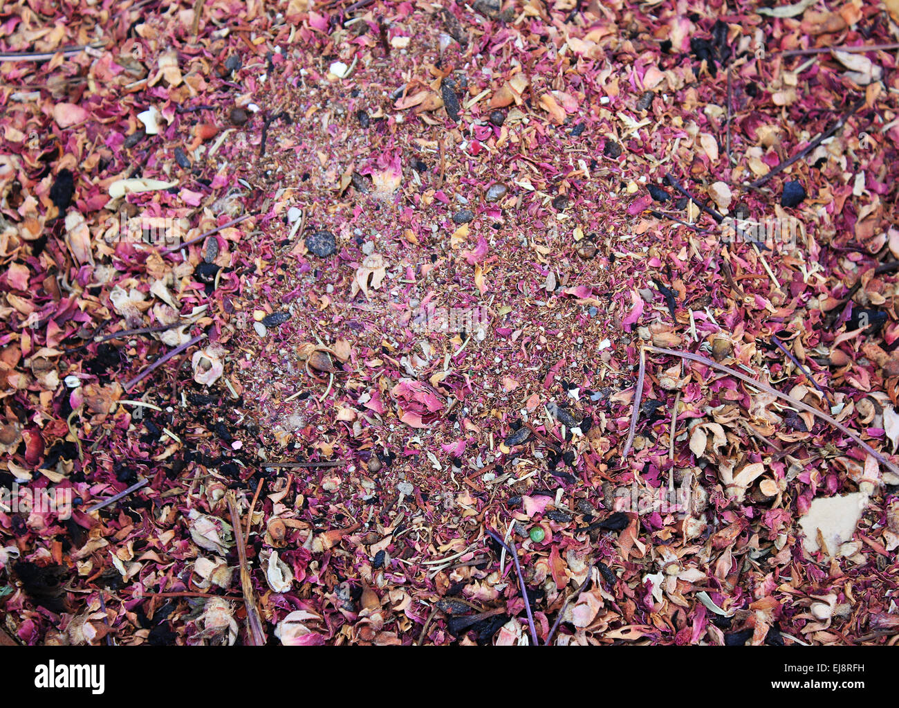 Ancient egypt food market hi-res stock photography and images - Alamy