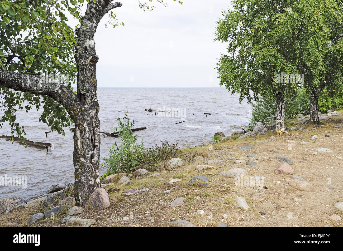 Water landscape in Northern Russia Stock Photo - Alamy