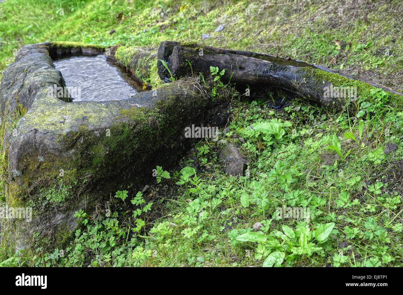 Spring inflow hi-res stock photography and images - Alamy