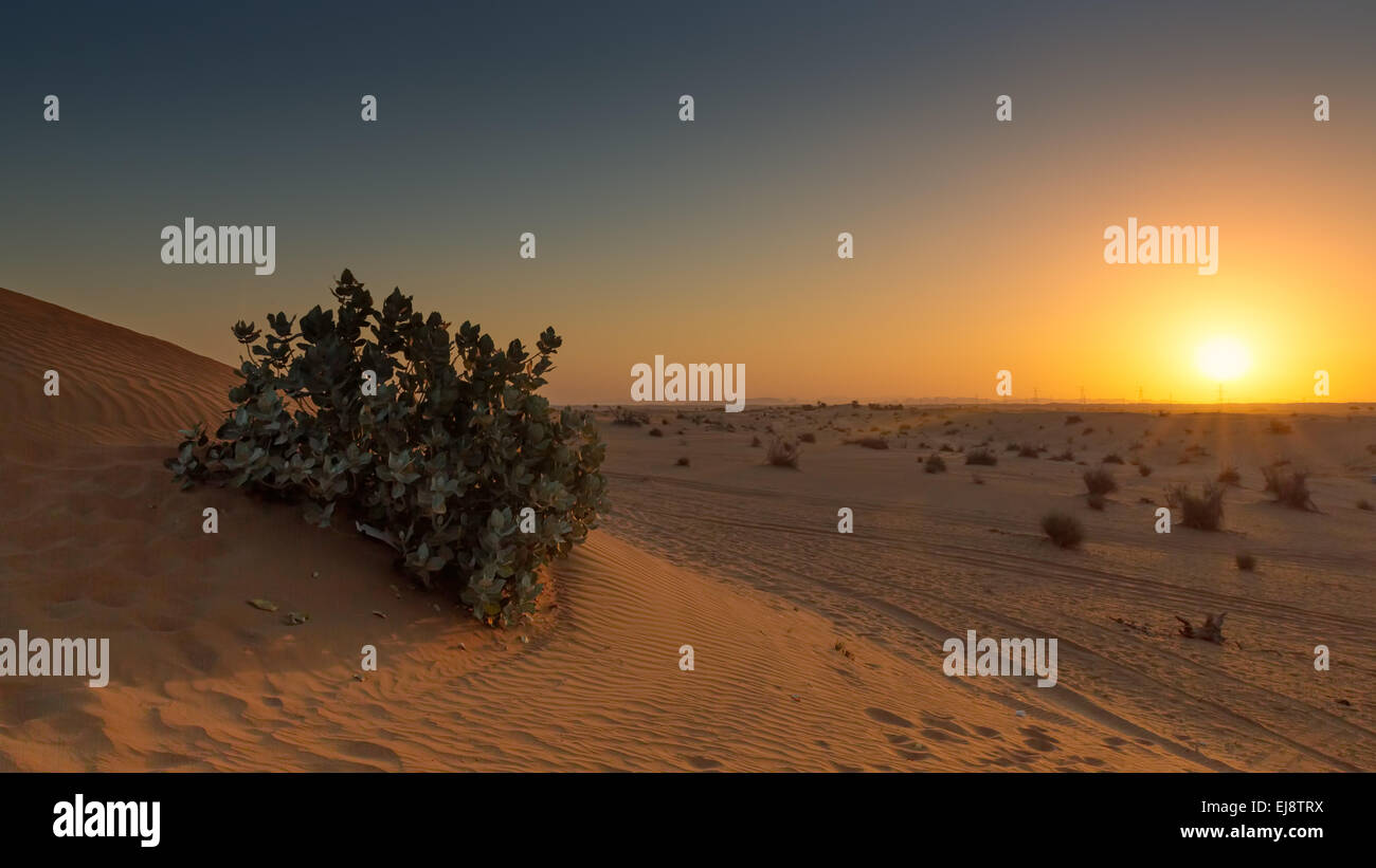 Sunrise in the desert Stock Photo - Alamy