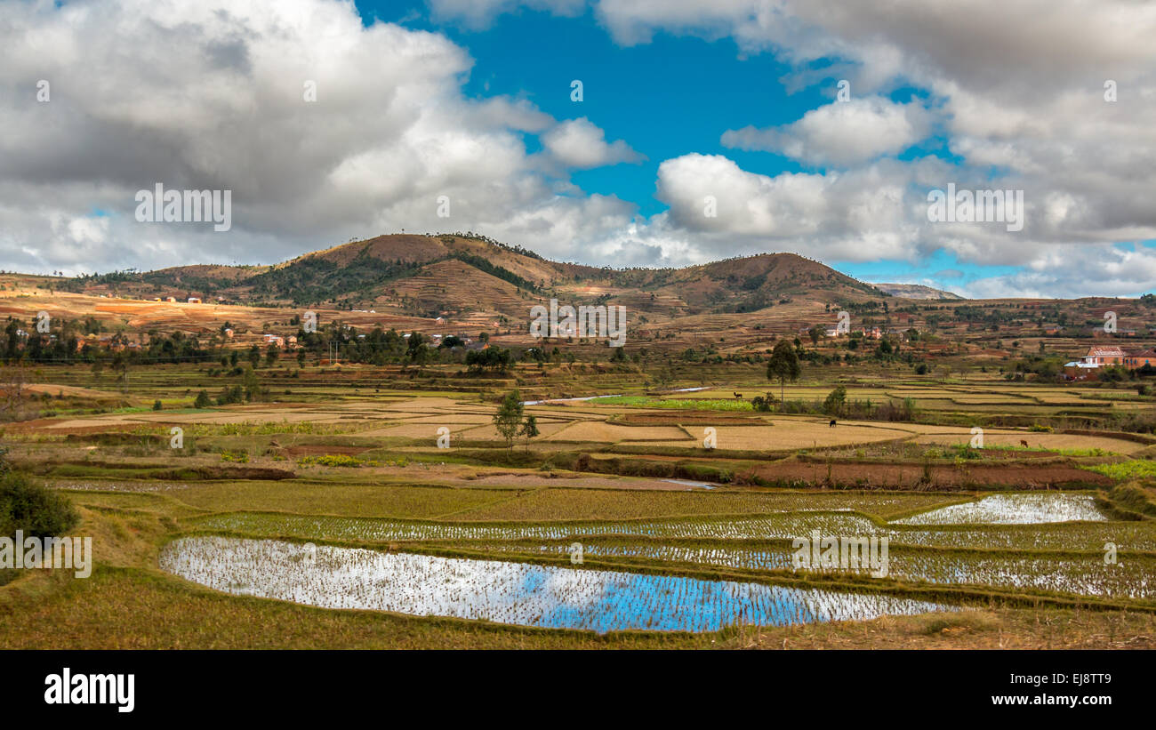 Naturally Beautiful Madagascar Stock Photo - Alamy