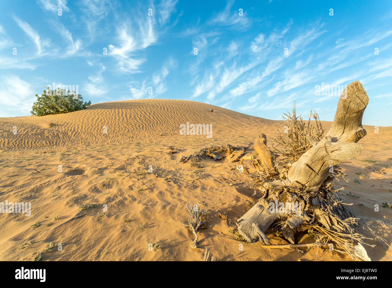 Arid land hi-res stock photography and images - Alamy