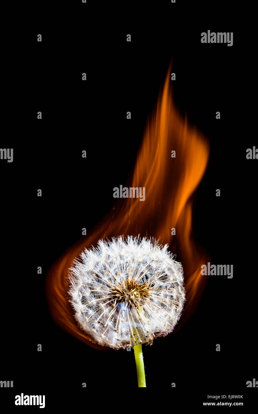 Fire illusion hi-res stock photography and images - Alamy