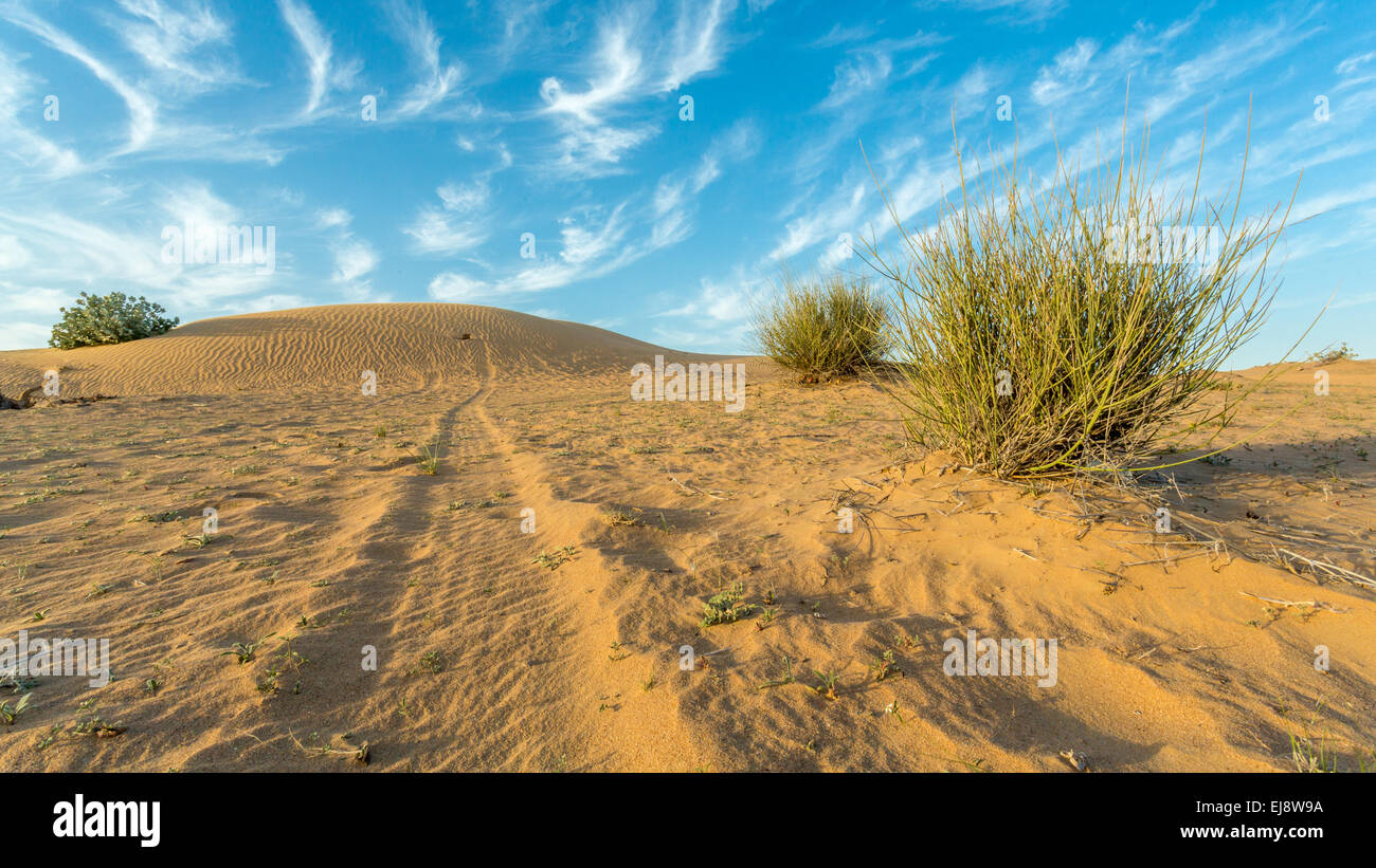 Arid land hi-res stock photography and images - Alamy
