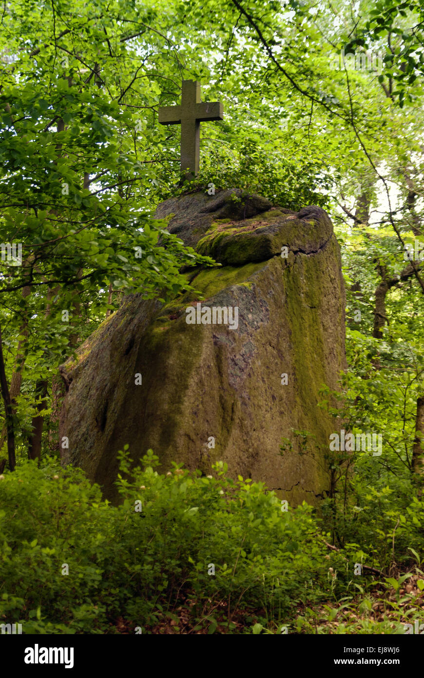 Cemetery in a Forest Stock Photo - Alamy