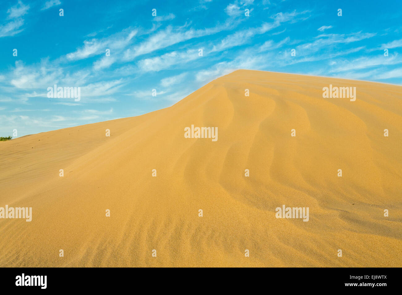 Arid land hi-res stock photography and images - Alamy