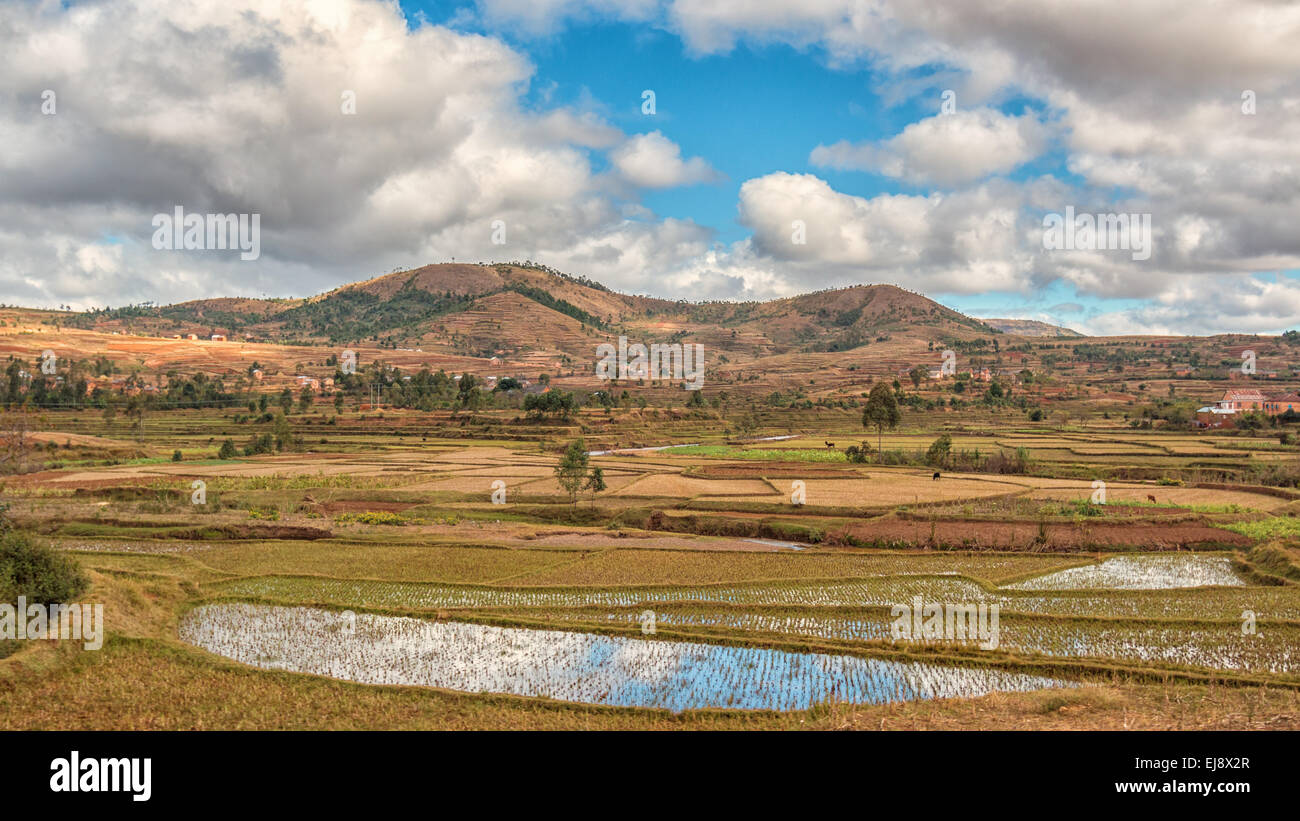 Naturally Beautiful Madagascar Stock Photo - Alamy