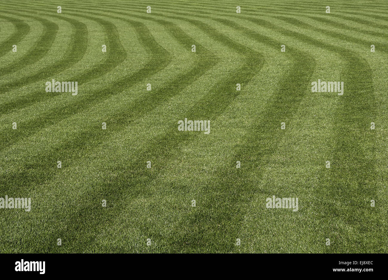 Green grass pattern Stock Photo - Alamy