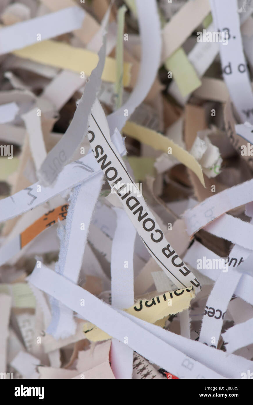 Shredded paper animals hi-res stock photography and images - Alamy