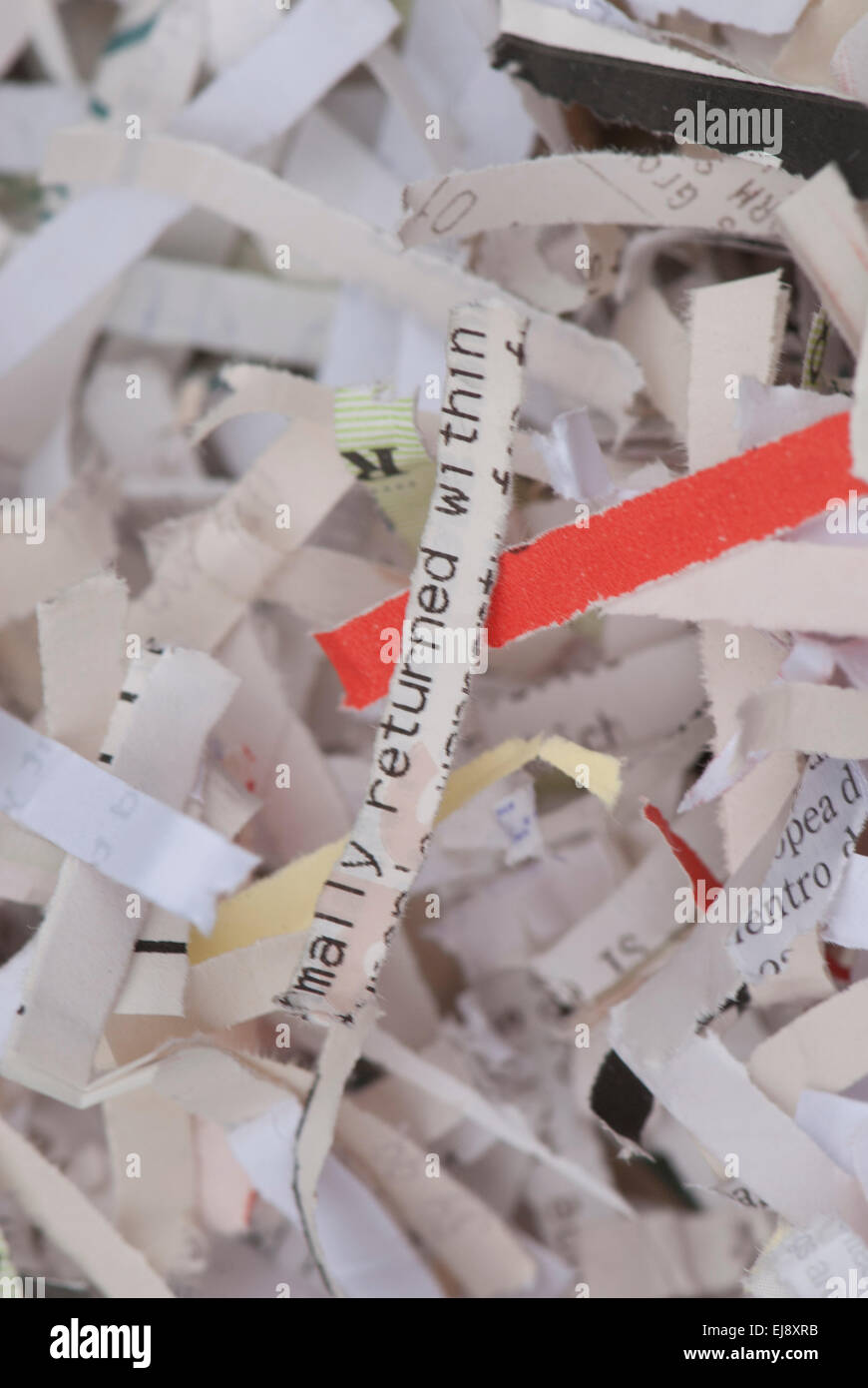 Shredded paper animals hi-res stock photography and images - Alamy