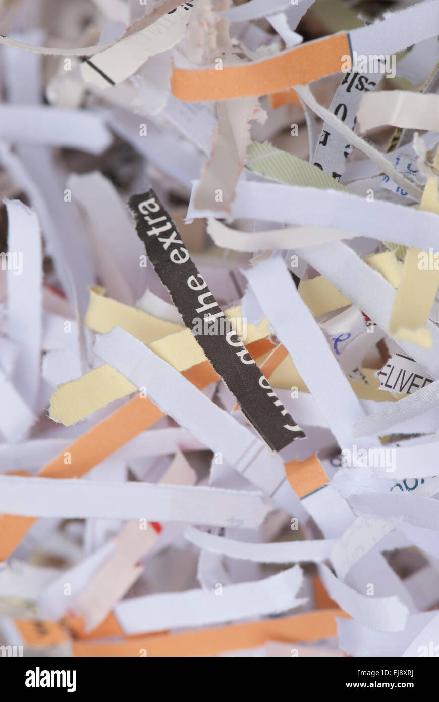 Shredded paper animals hi-res stock photography and images - Alamy