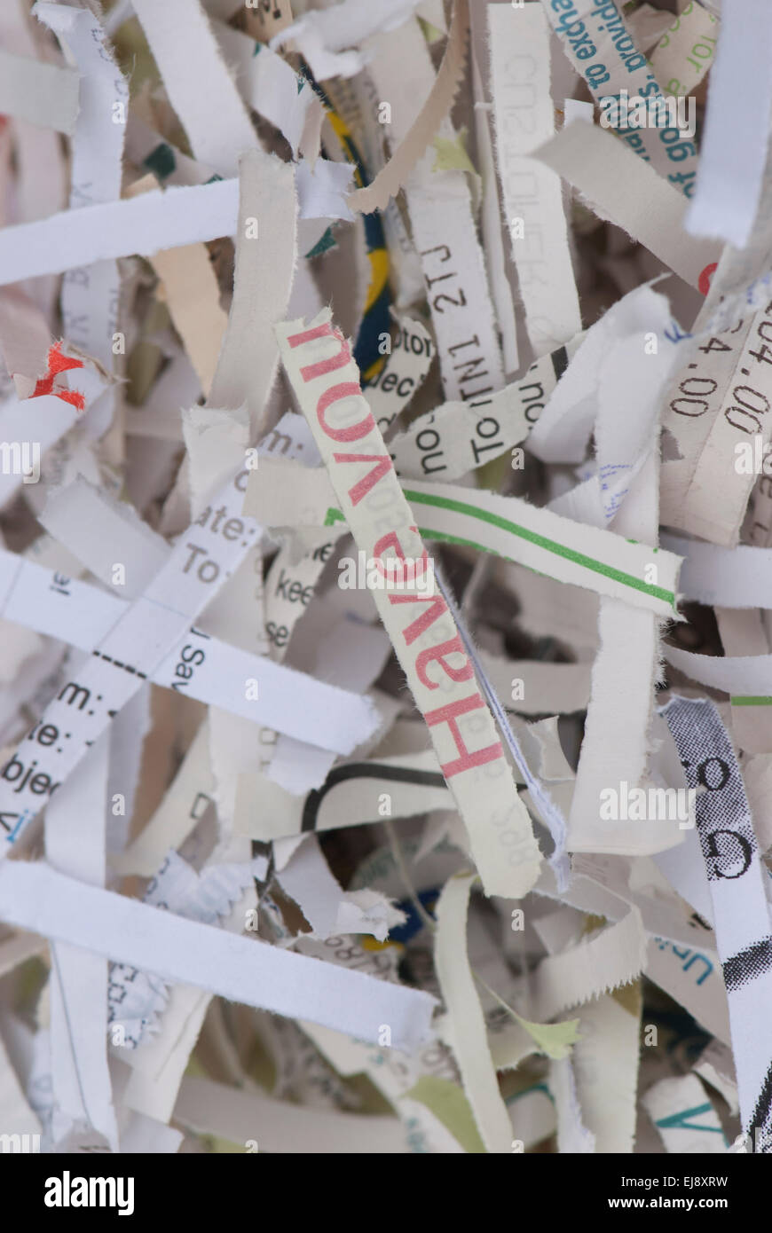 Shredded paper animals hi-res stock photography and images - Alamy
