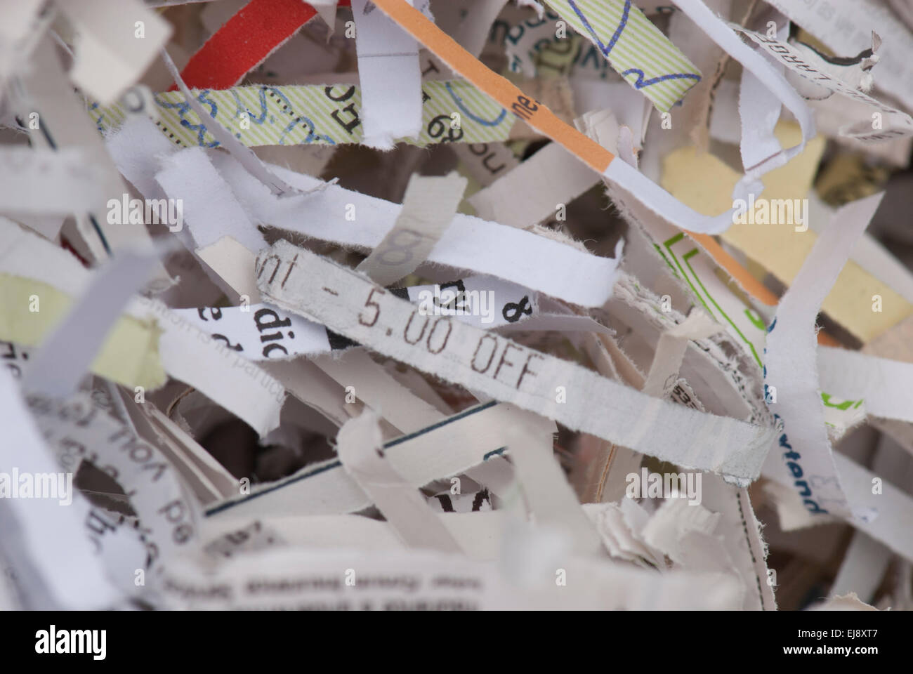 Shredded paper animals hi-res stock photography and images - Alamy