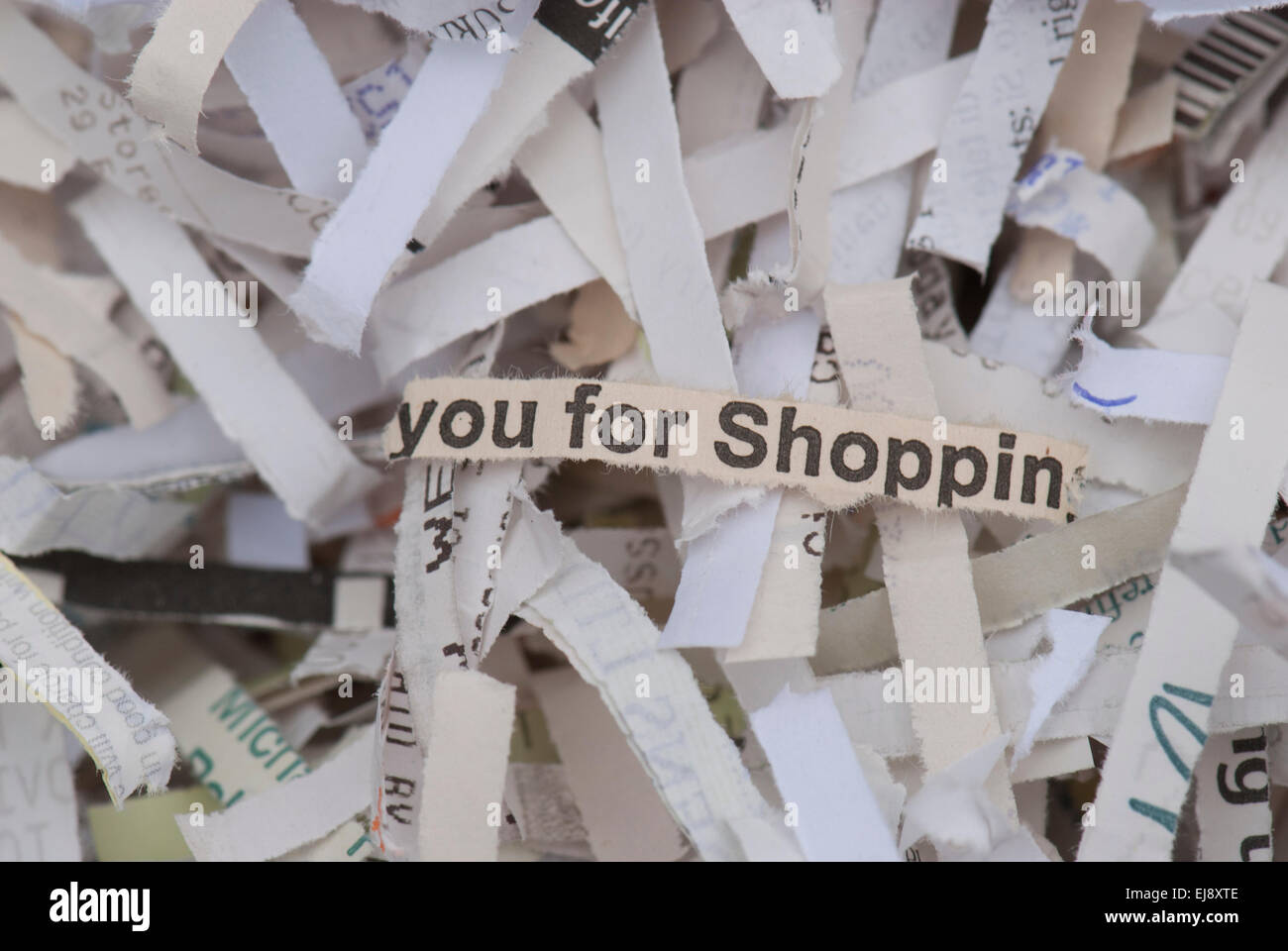 Shredded paper animals hi-res stock photography and images - Alamy