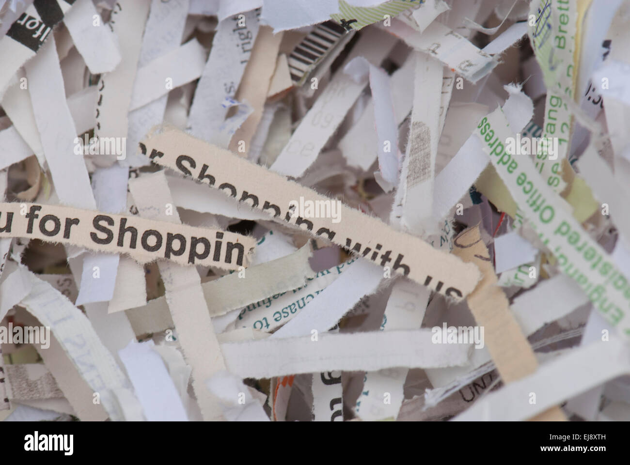 Shredding documents, receipts, personal papers Stock Photo - Alamy
