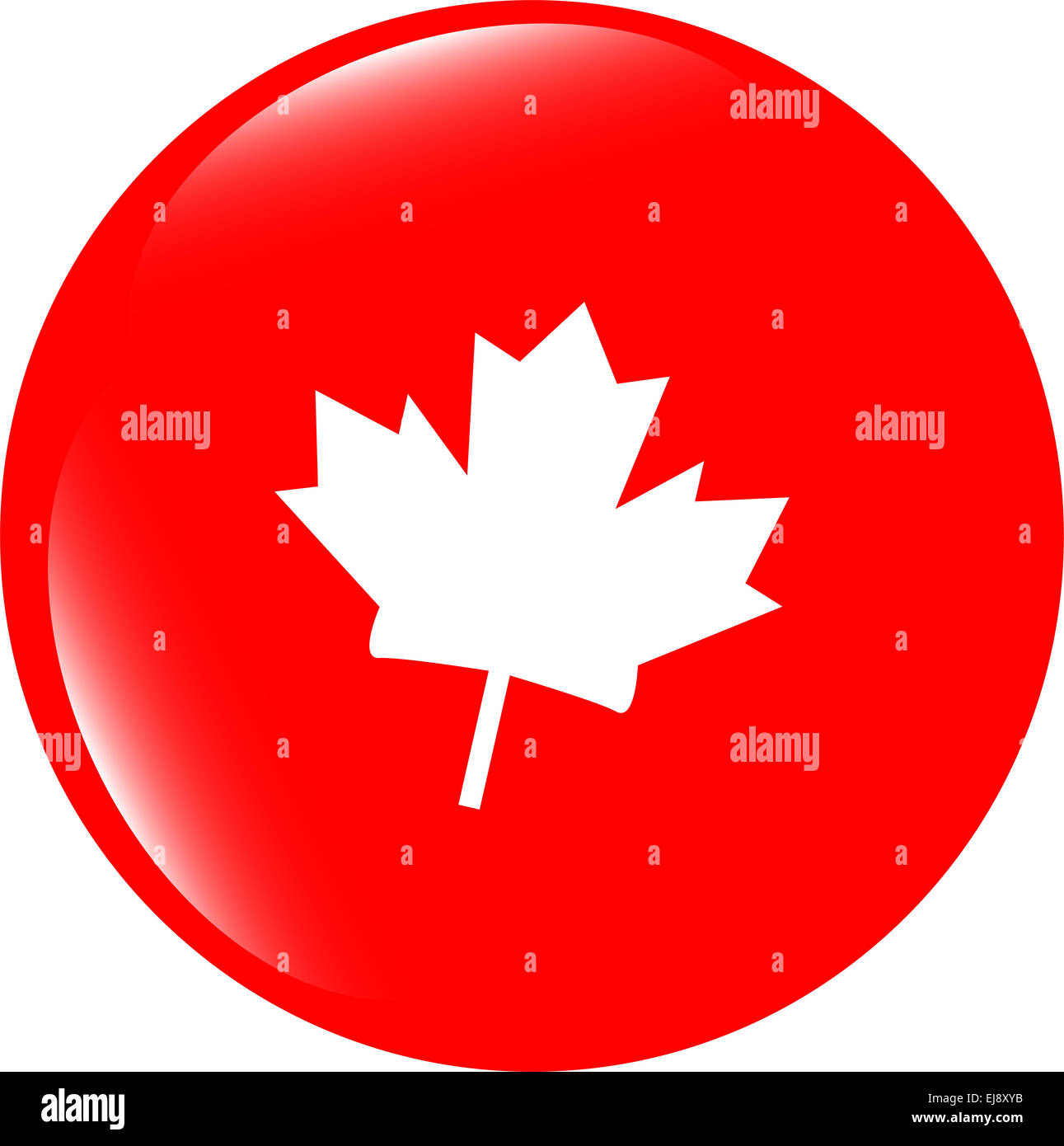 mapple leaf icon glassy web button Stock Photo - Alamy