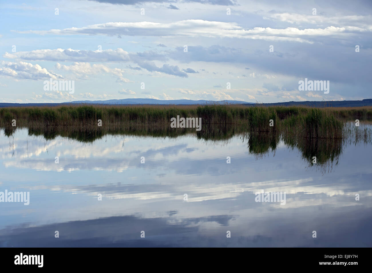 Lake Neusiedl, Austria Stock Photo - Alamy