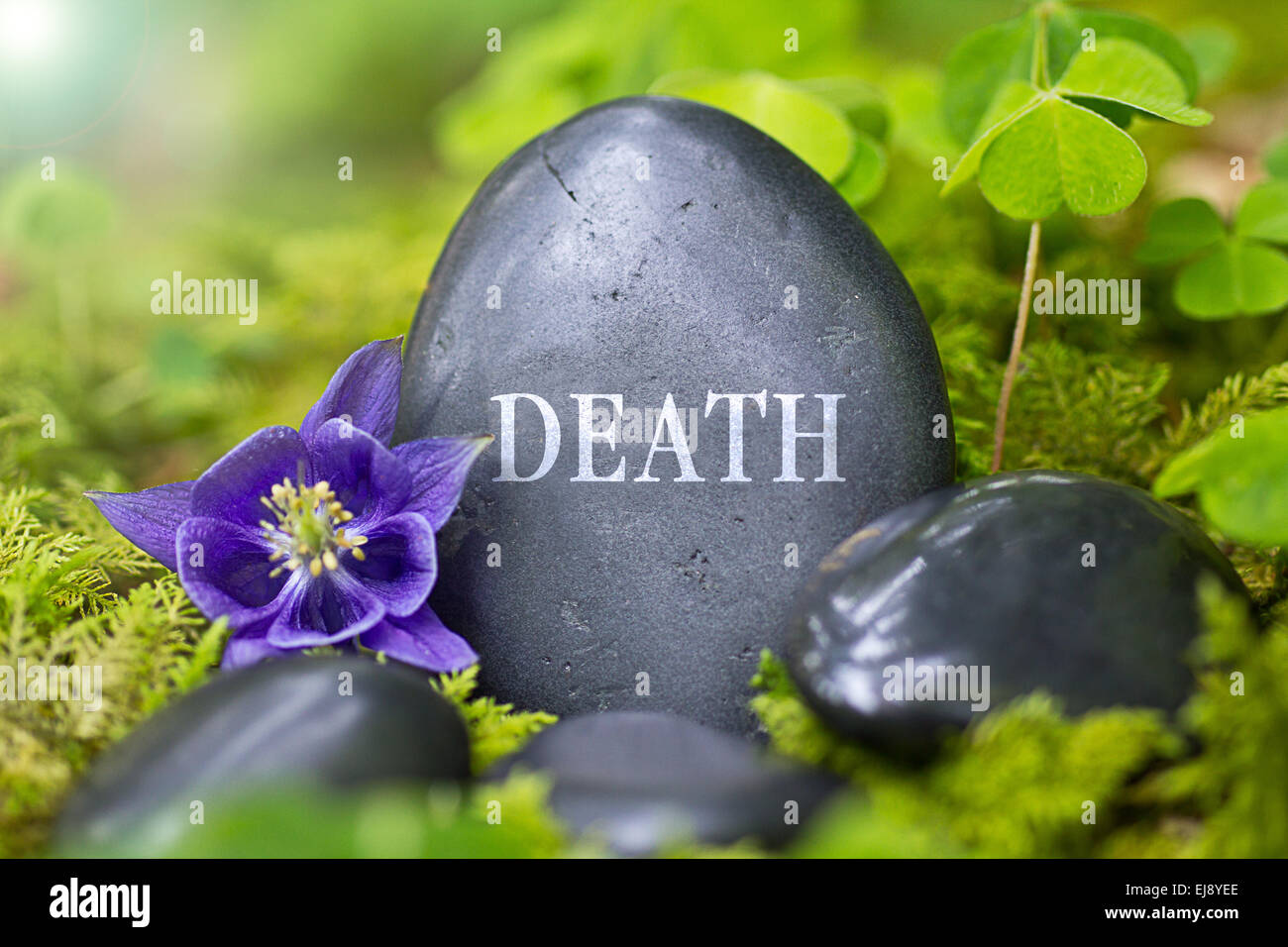 Character tod death hi-res stock photography and images - Alamy