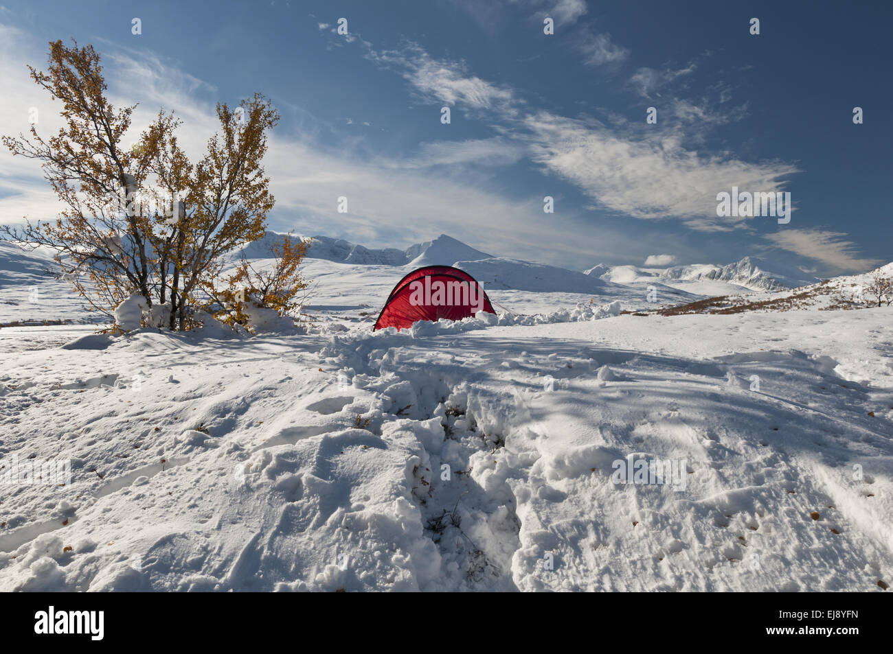 tent in snow, Rondane NP, Norway Stock Photo - Alamy